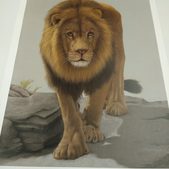 Harold Rigsby | Wall Decor | African Lion Iii By Harold Rigsby 687975 ...